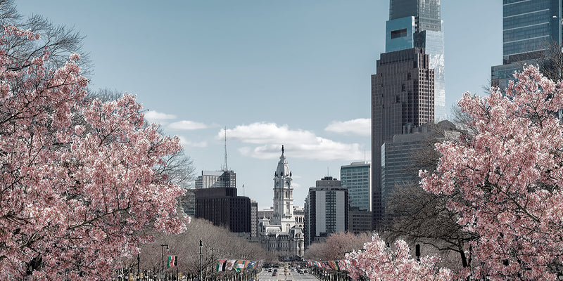 Polarised Lenses: Better Sight since 1929 | Polaroid Eyewear