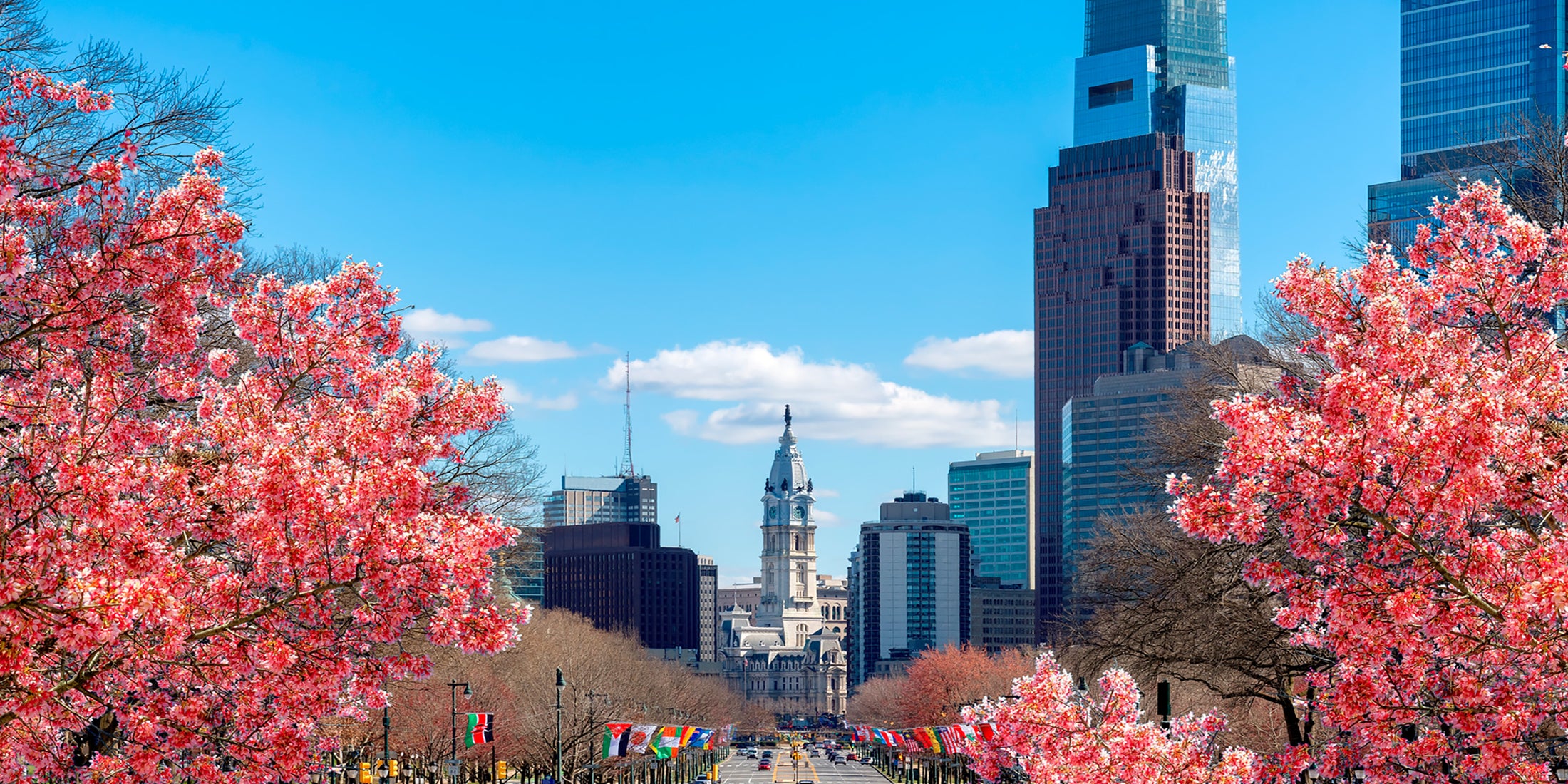 Polarised Lenses: Better Sight since 1929 | Polaroid Eyewear